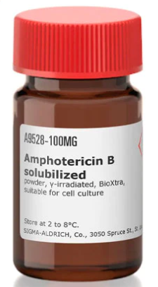 AMPHOTERICIN B SUPPL, powder, 500 mg [Sigma-A9528-500MG] | Unicat